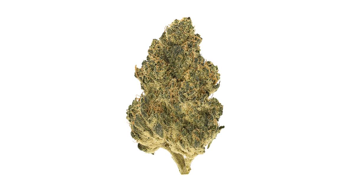 Snow Panda Cannabis Strain Information - GrowDiaries