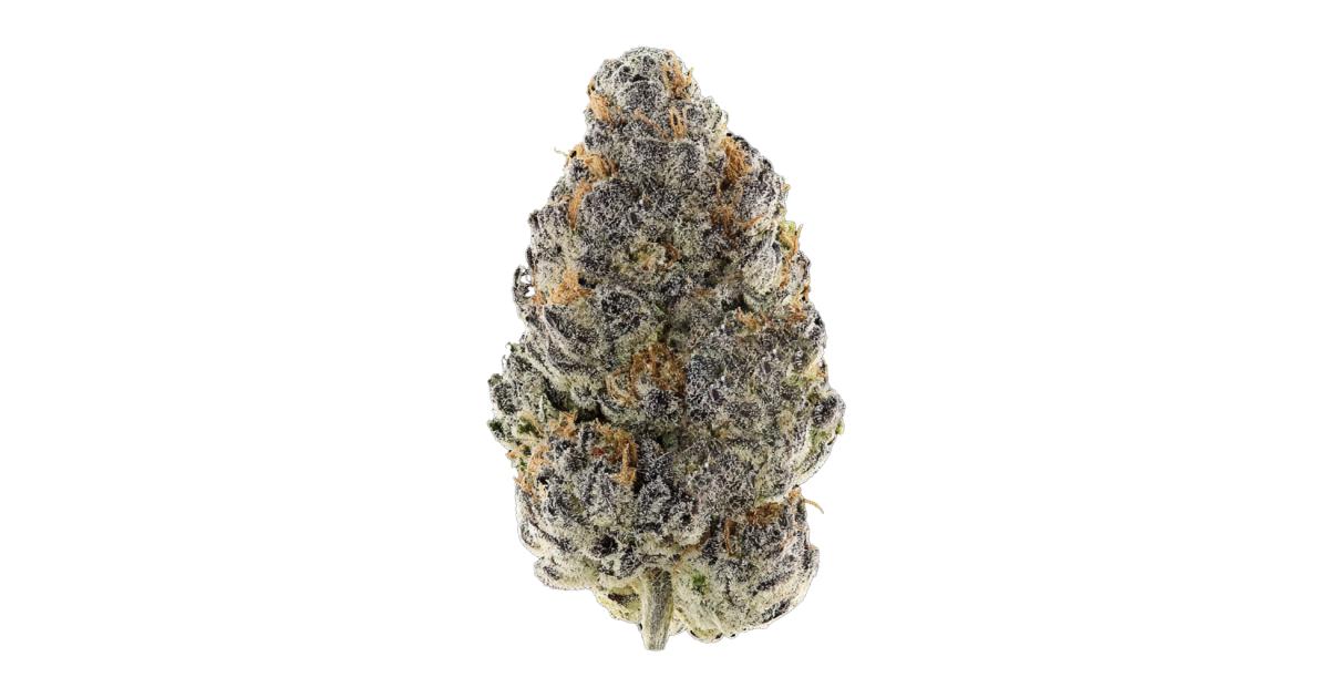 Cosmic Crashers Cannabis Strain Information - GrowDiaries