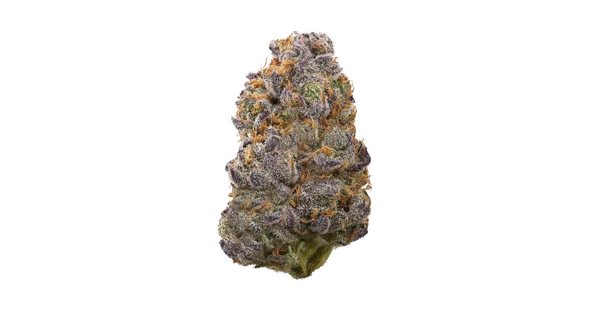 Cheetah Fat Cannabis Strain Information - GrowDiaries