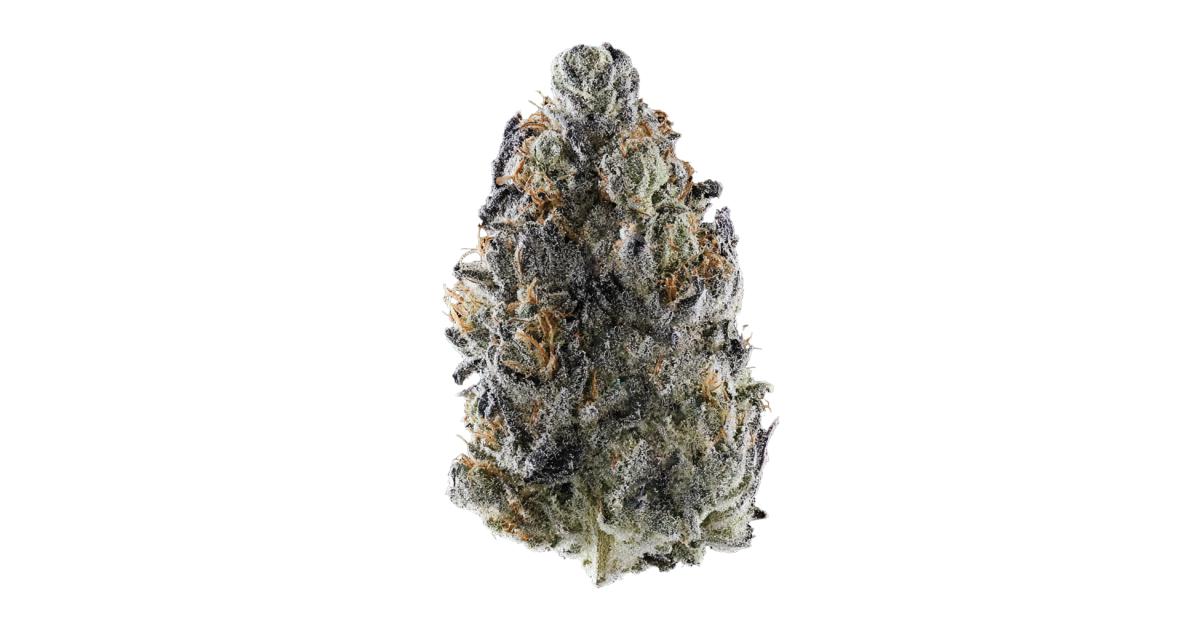 Dos Si Dos 33 Cannabis Strain Information - GrowDiaries