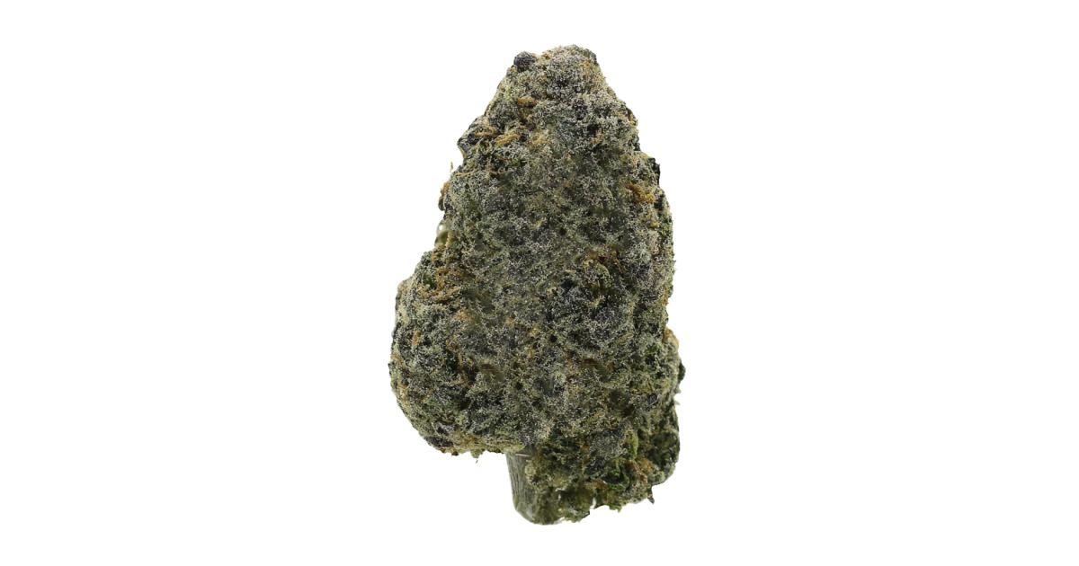 Black Fish Cannabis Strain Information - GrowDiaries