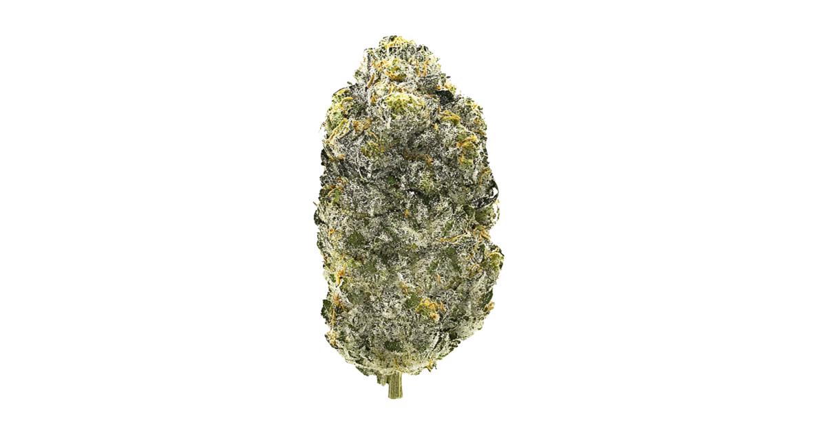 Strawberry Pines Cannabis Strain Information - GrowDiaries