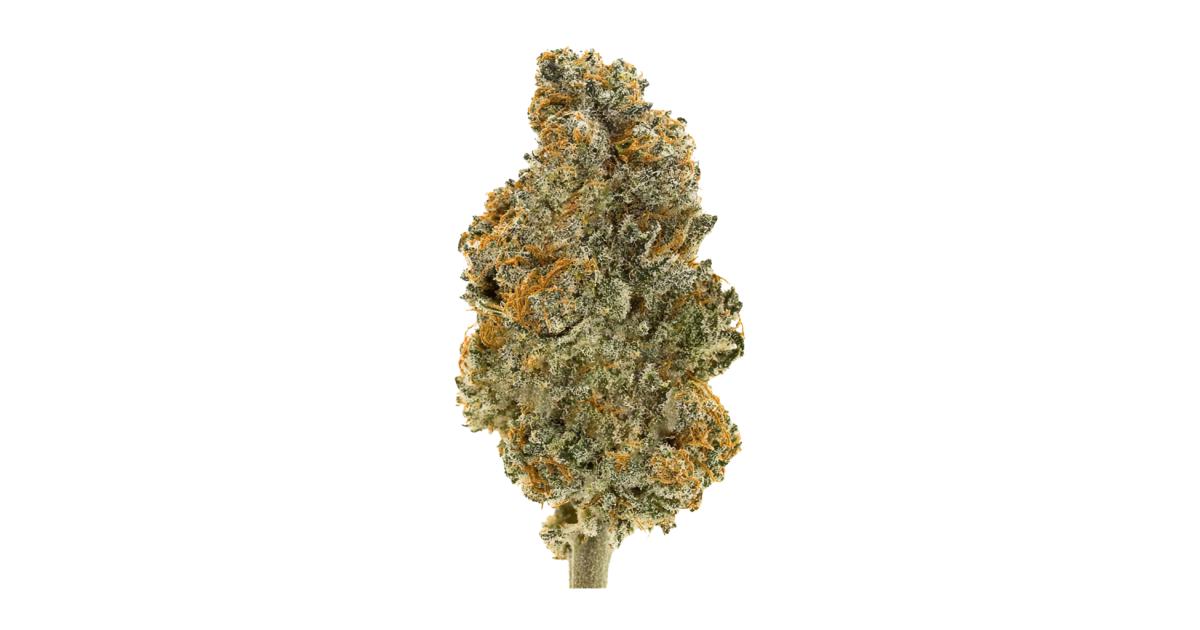 Duck Fat Fries Cannabis Strain Information - GrowDiaries