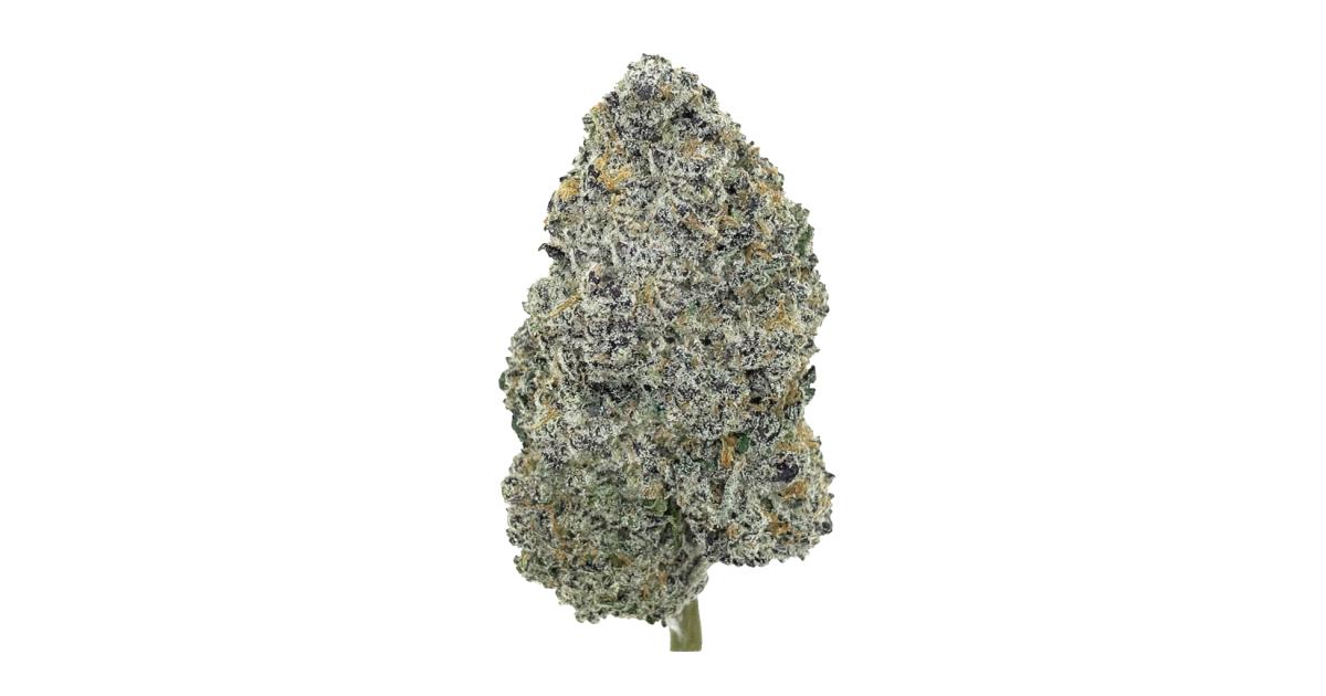 King Neptune Cannabis Strain Information - GrowDiaries