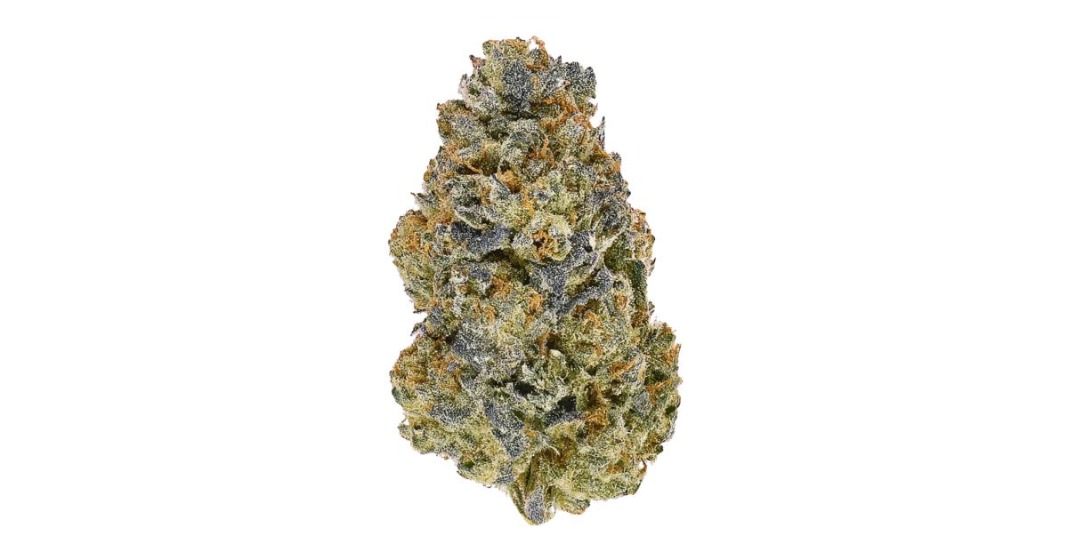 Swiss Goat Cheese Cannabis Strain Information - GrowDiaries