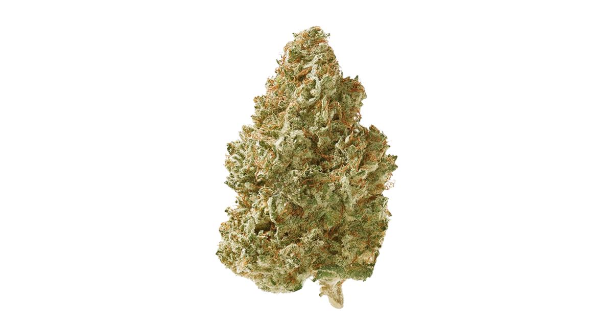 Mega Z Red Cannabis Strain Information - GrowDiaries