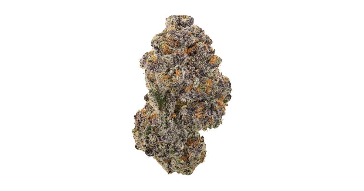 Tokyo Gumdrop Cannabis Strain Information - GrowDiaries