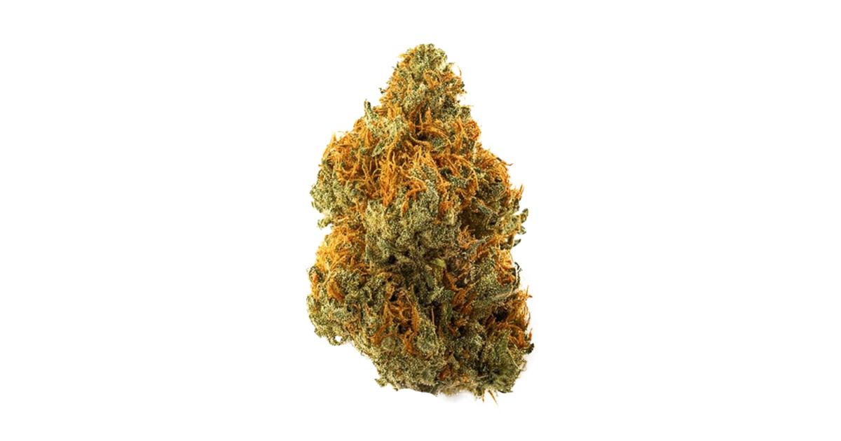 Cash Cow Cannabis Strain Information - GrowDiaries