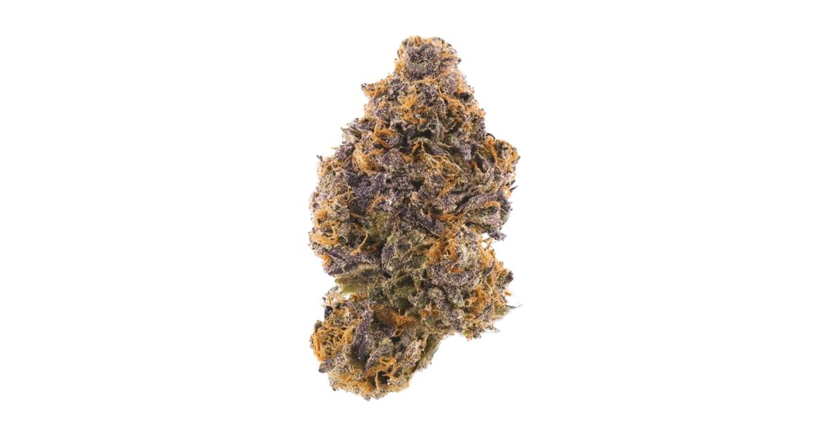 Coco Jambo Cannabis Strain Information - GrowDiaries