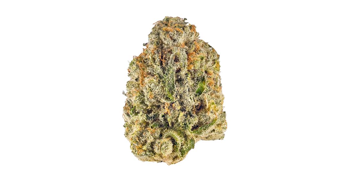 Clementine Gold Cannabis Strain Information - GrowDiaries