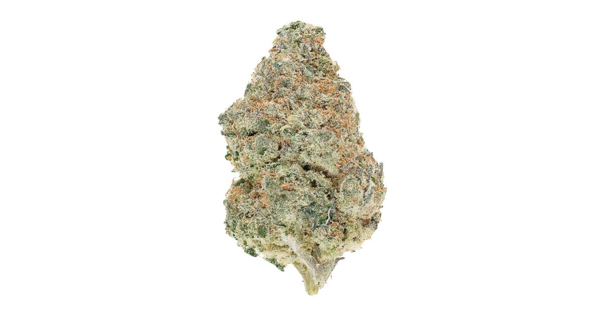 Orange Banana Sherbet Cannabis Strain Information - GrowD...