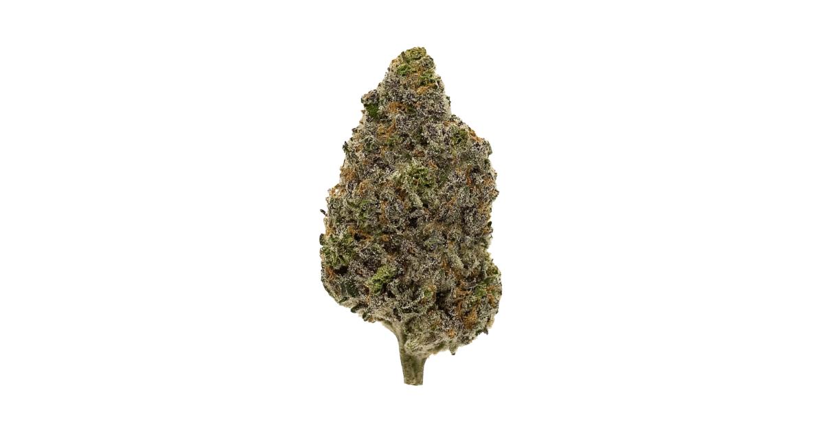 Paint Thinner Cannabis Strain Information - GrowDiaries