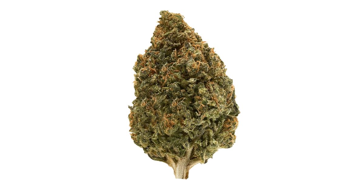 Lemon Twist Cannabis Strain Information - GrowDiaries
