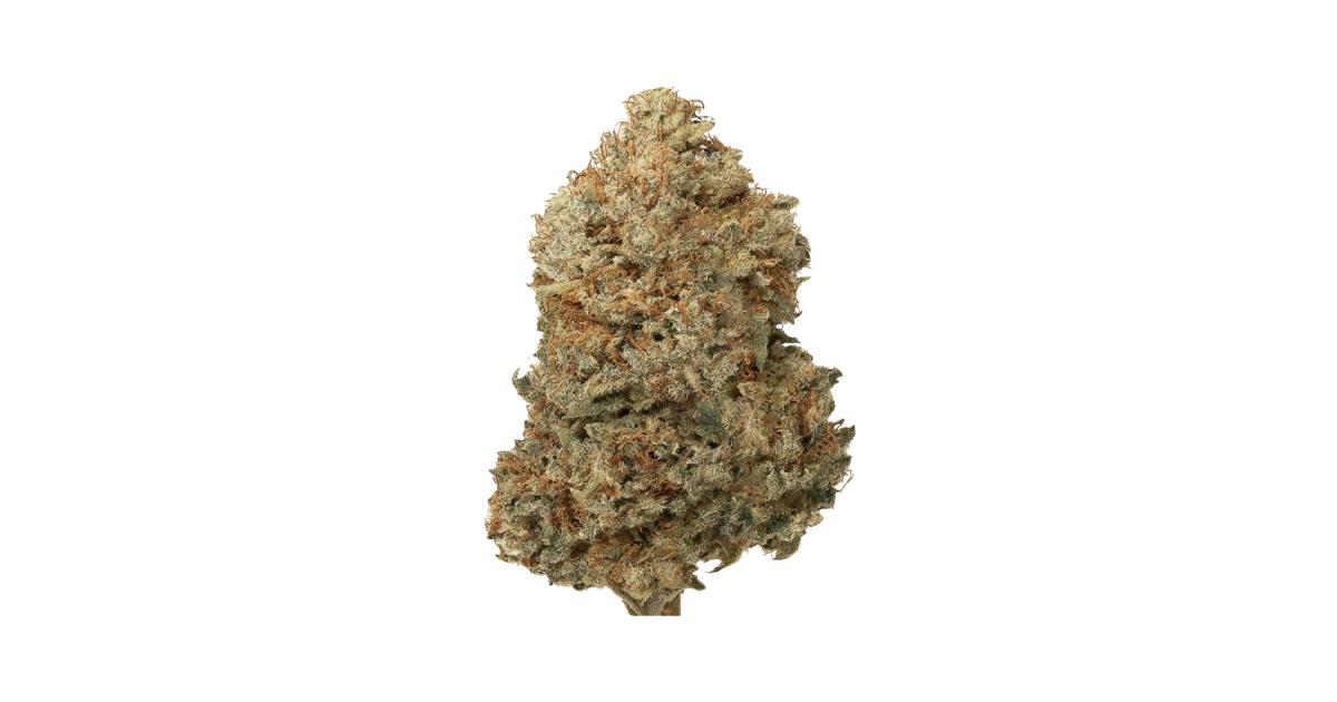 Funk Town Cannabis Strain Information - GrowDiaries