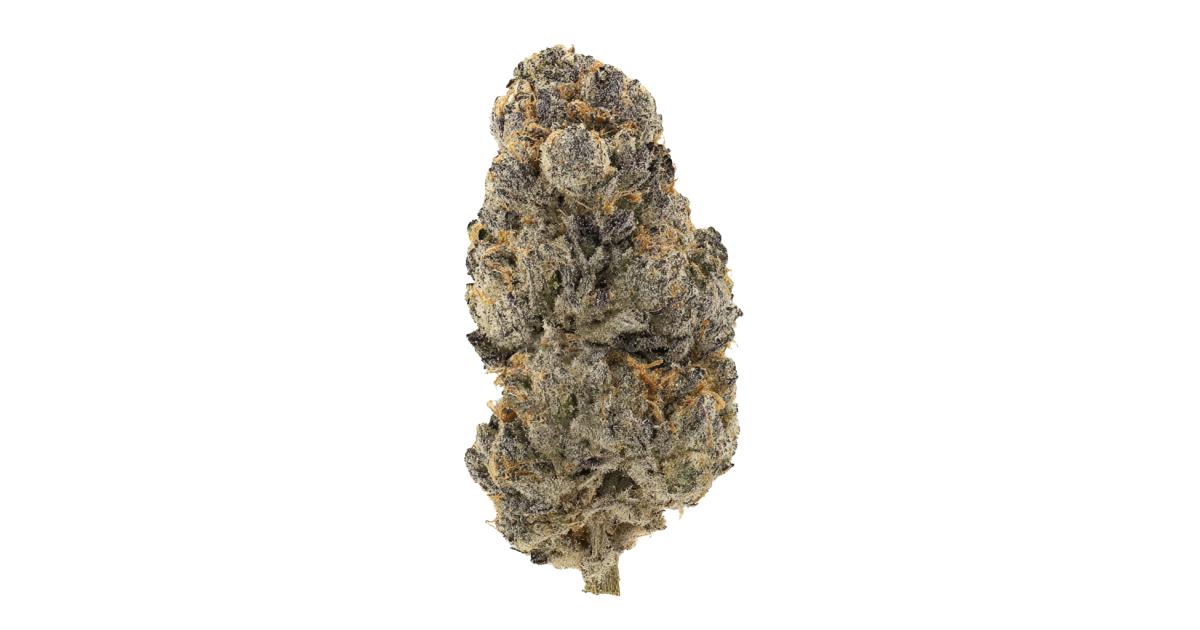Purple Sour Tangie Cannabis Strain Information - GrowDiar...