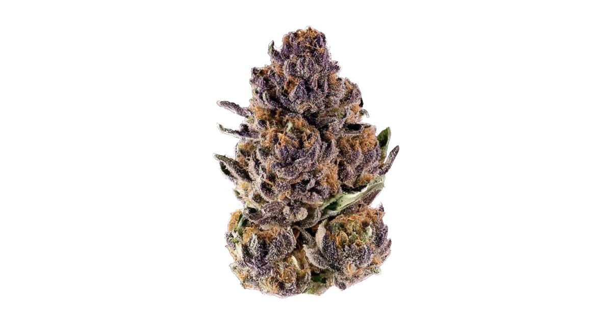 Strawberry Banana S1 Cannabis Strain Information - GrowDi...