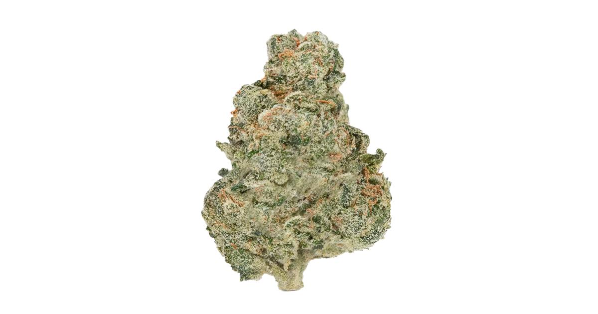 Strawberry Clem Cannabis Strain Information - GrowDiaries