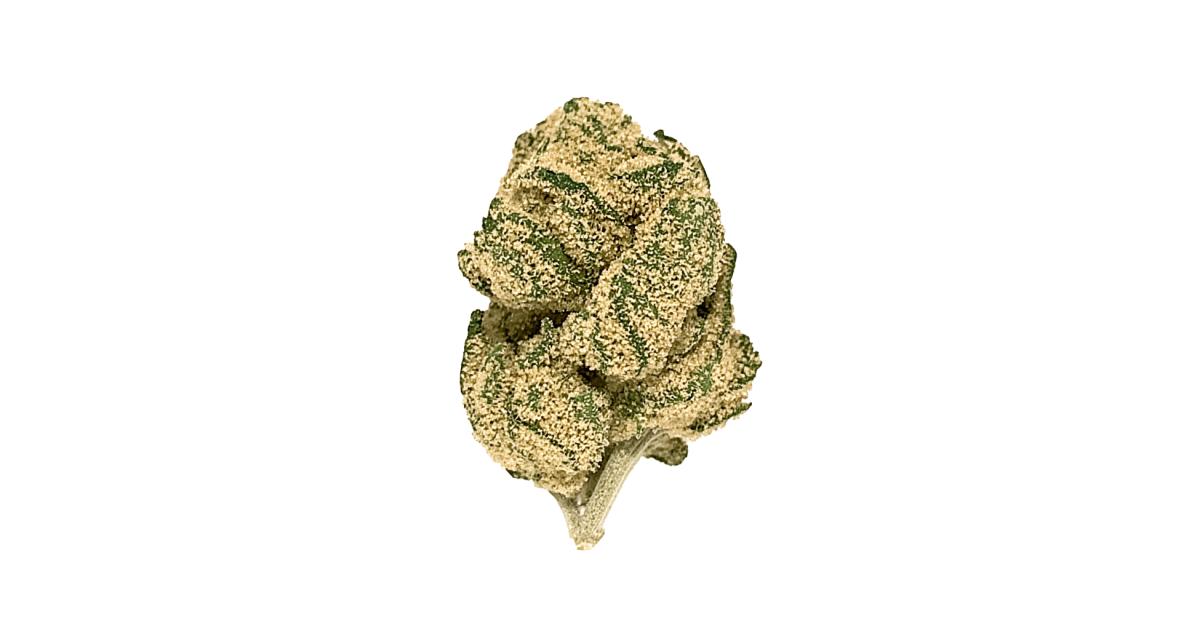 Gorilla Blue Cannabis Strain Information - GrowDiaries