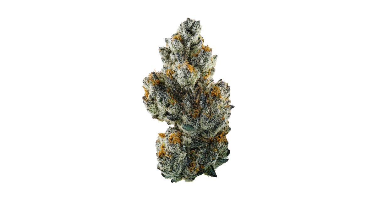 Triple 6 Cannabis Strain Information - GrowDiaries