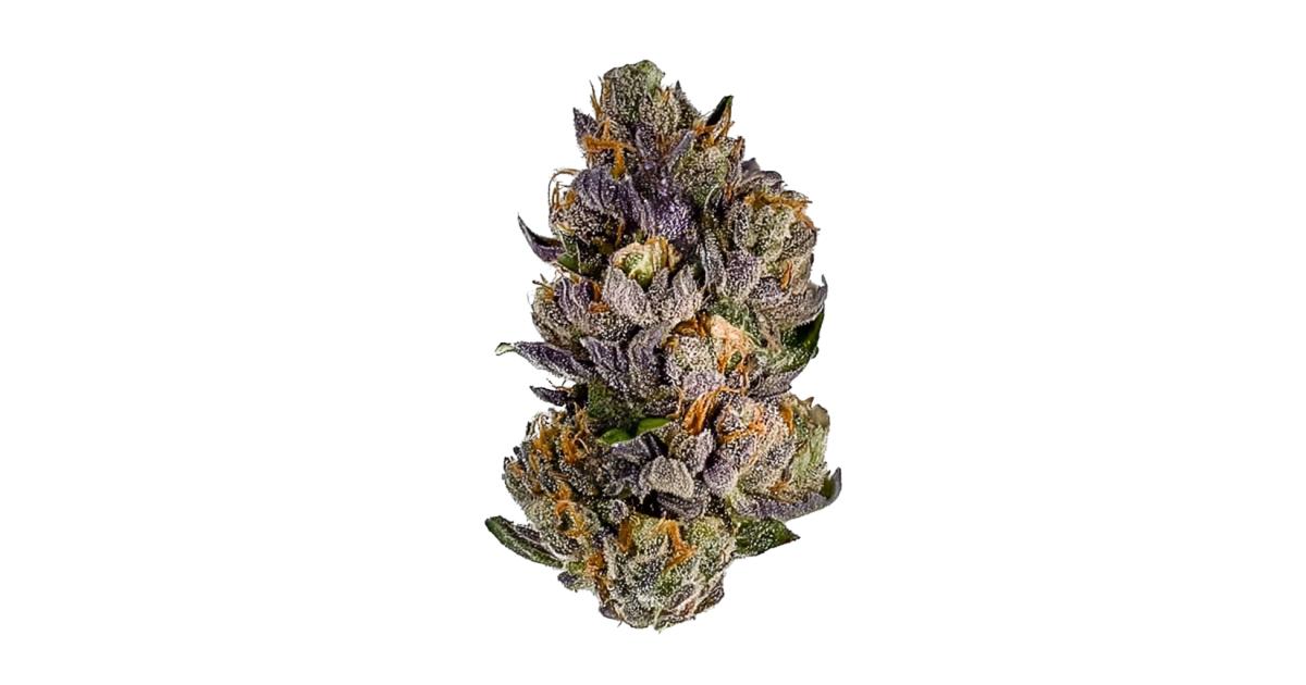 Blood Fire Cannabis Strain Information - GrowDiaries