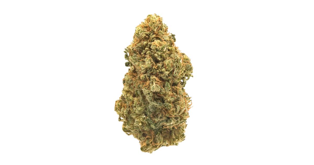 Cheesaloha Cannabis Strain Information - GrowDiaries