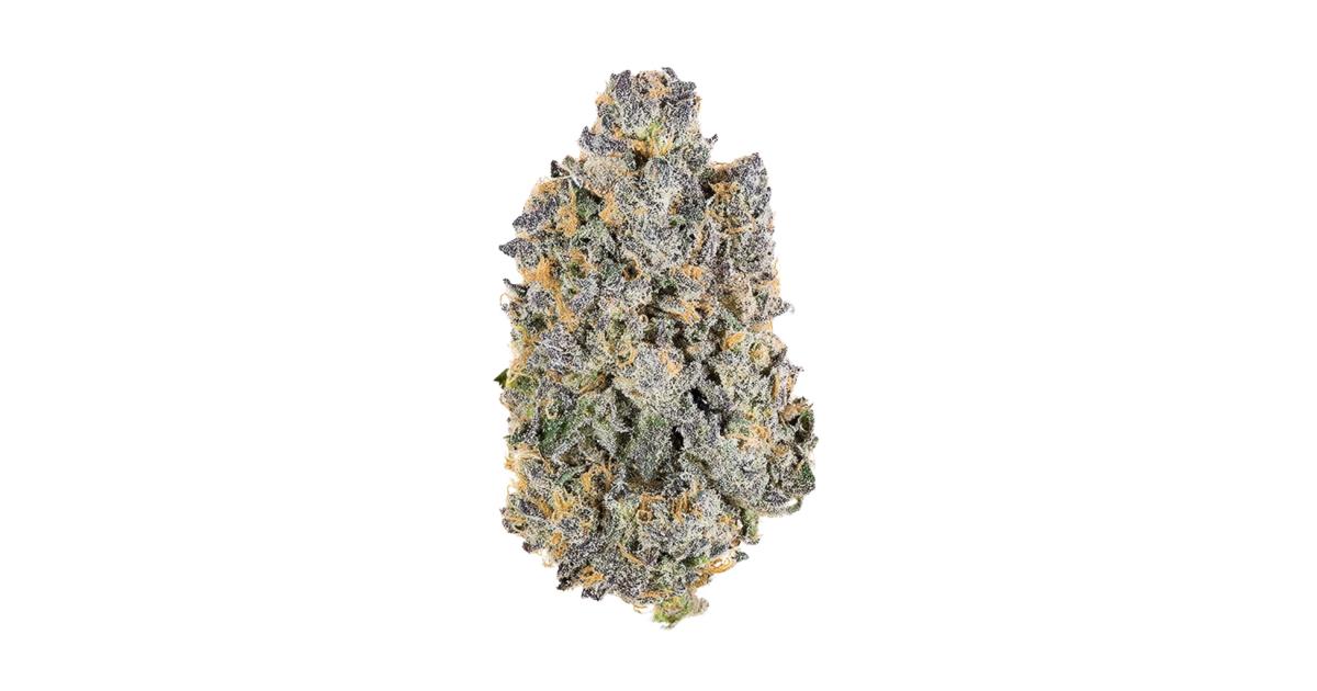 Burnt Rainbow Cannabis Strain Information - GrowDiaries