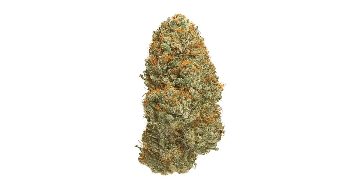Cheese Crack Cannabis Strain Information - GrowDiaries