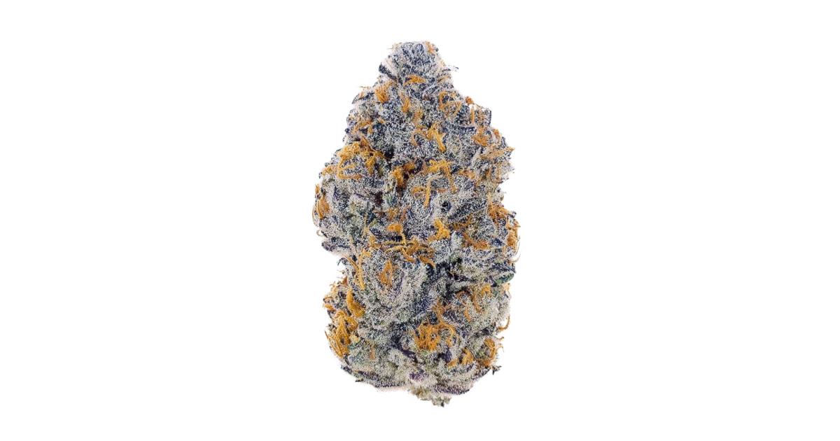 Cheese King Cannabis Strain Information - GrowDiaries