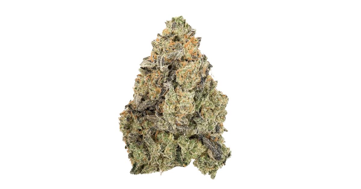 Cheese Twist Cannabis Strain Information - GrowDiaries