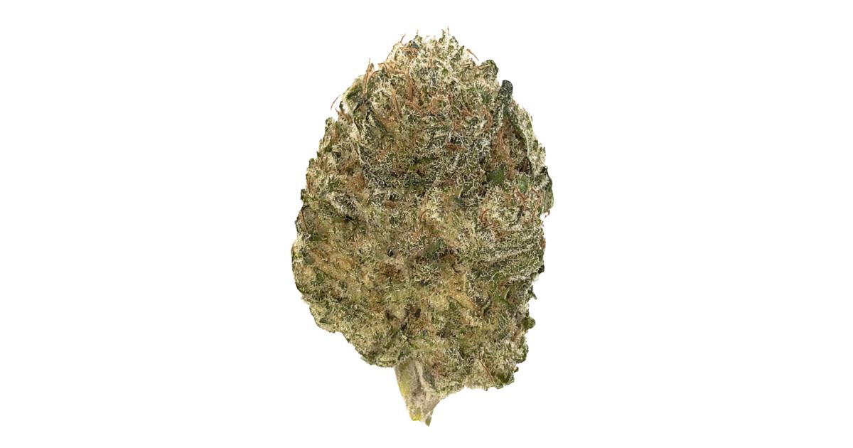 Citrus Cheese Cannabis Strain Information - GrowDiaries