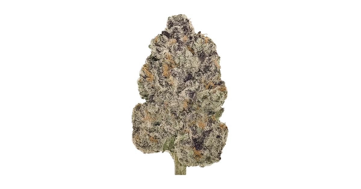 Devil's Rainbow Cannabis Strain Information - GrowDiaries