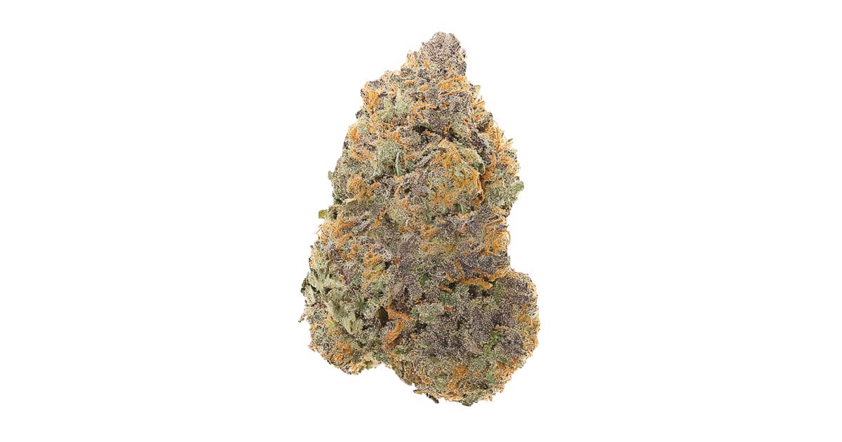 Hella Jealous Cannabis Strain Information - GrowDiaries