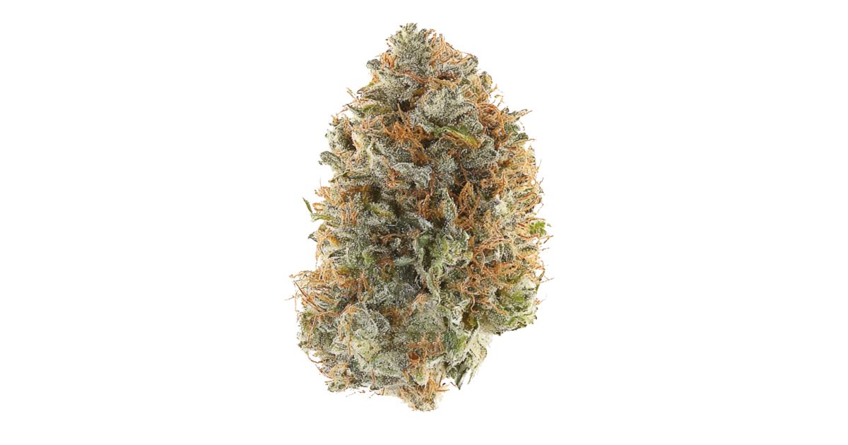 Hells 99 Cannabis Strain Information - GrowDiaries