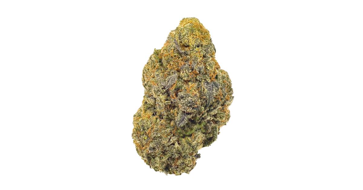 Kosher Cheese Cannabis Strain Information - GrowDiaries