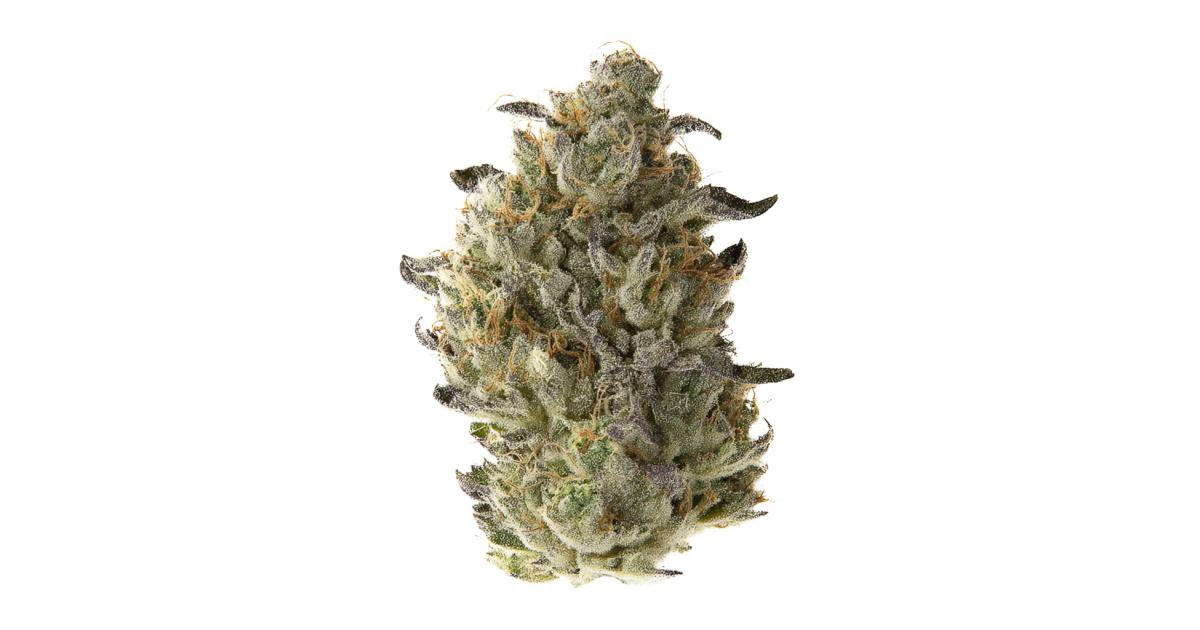 Marshmallow Cheese Cannabis Strain Information - GrowDiar...