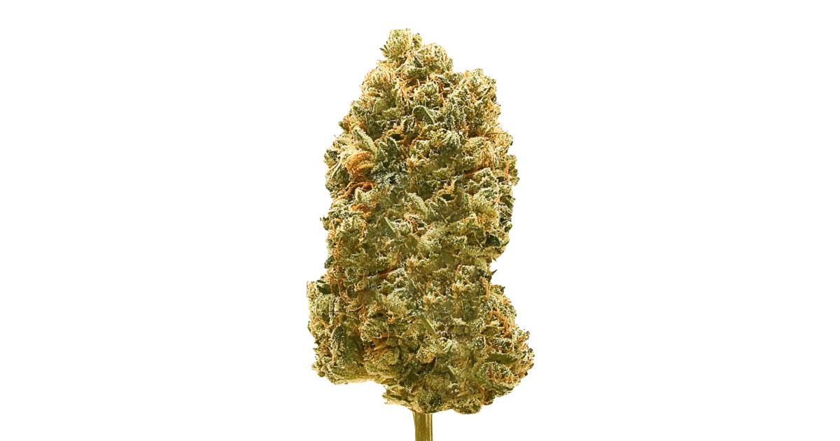Tangie Land x (Strawberry Banana x Tangie) Cannabis Strain Information ...