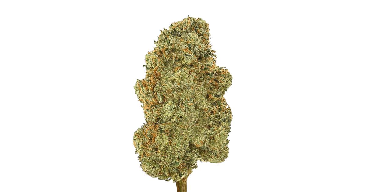 Tangie x (Strawberry Banana x Tangie) Cannabis Strain Information ...
