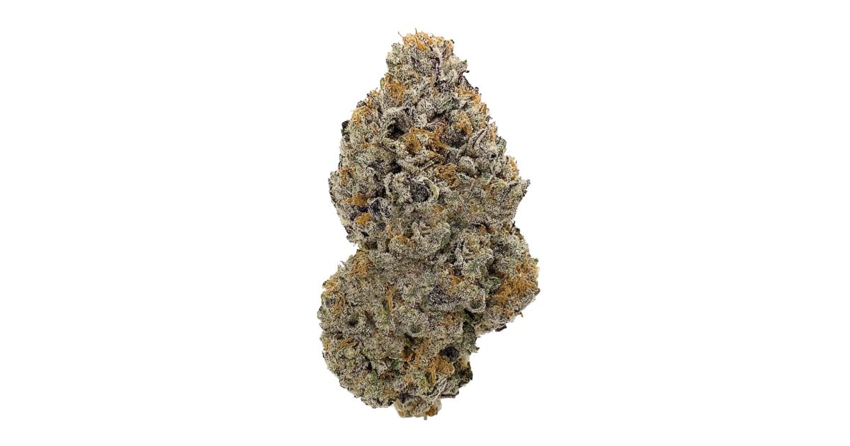 Truffle Queen X Cannabis Strain Information - GrowDiaries