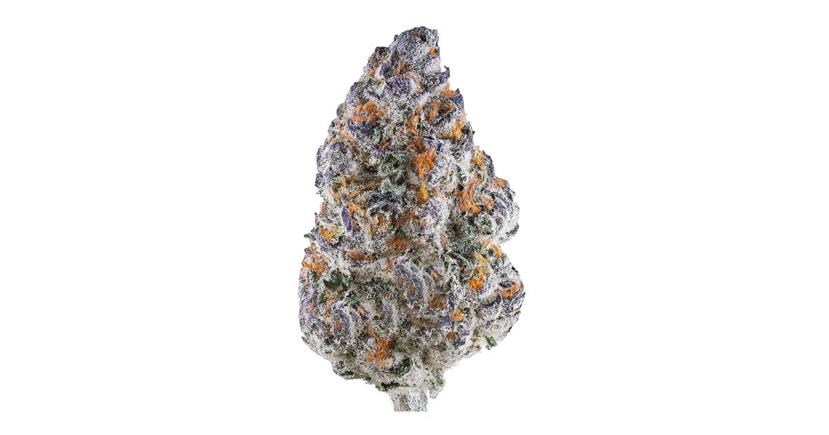 Ice Cream Zundae Cannabis Strain Information - GrowDiaries