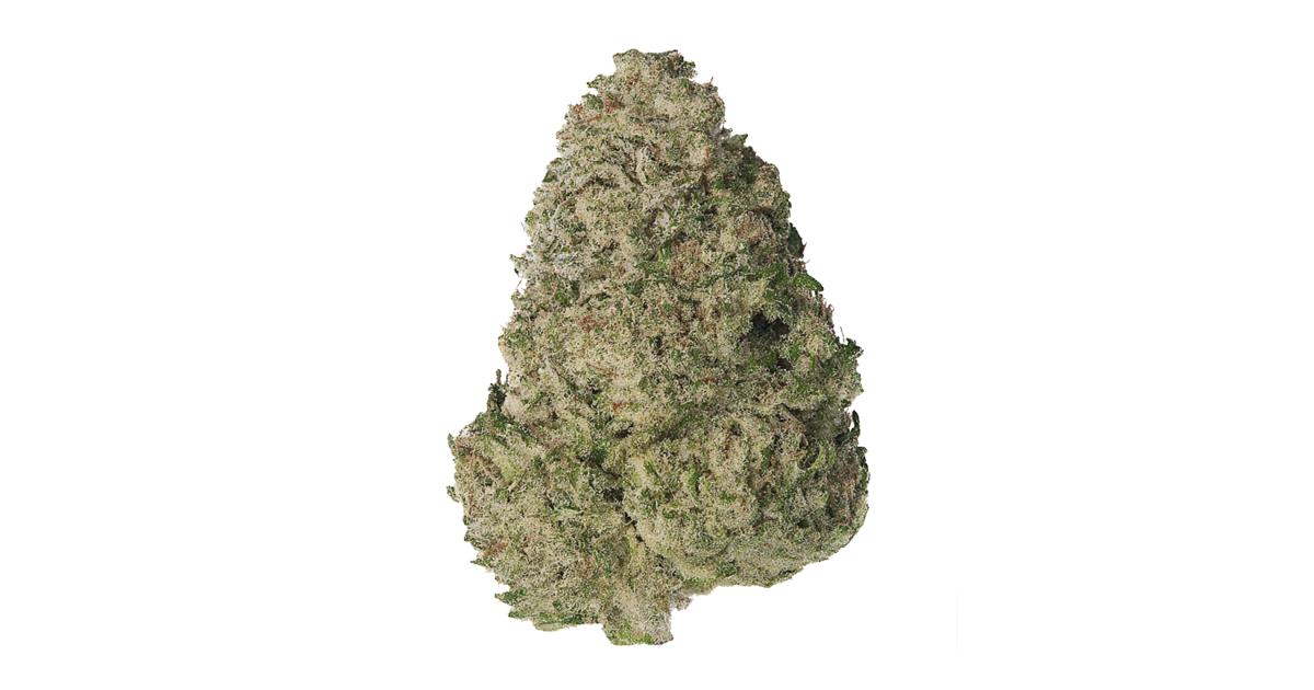 Snack Pack Cannabis Strain Information - GrowDiaries