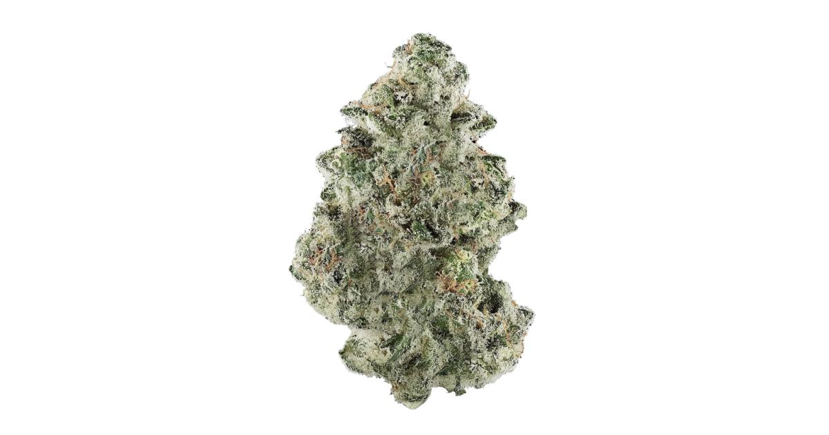 White Chocolope Cannabis Strain Products - GrowDiaries