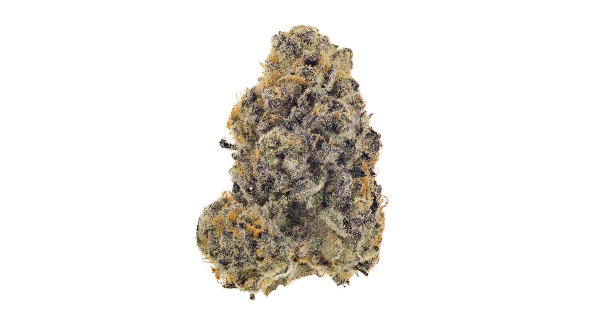 Mokum's Tulip Cannabis Strain Information - GrowDiaries