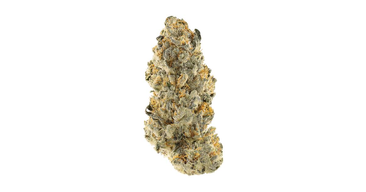Orange Bud 2.0 Cannabis Strain Diaries - GrowDiaries