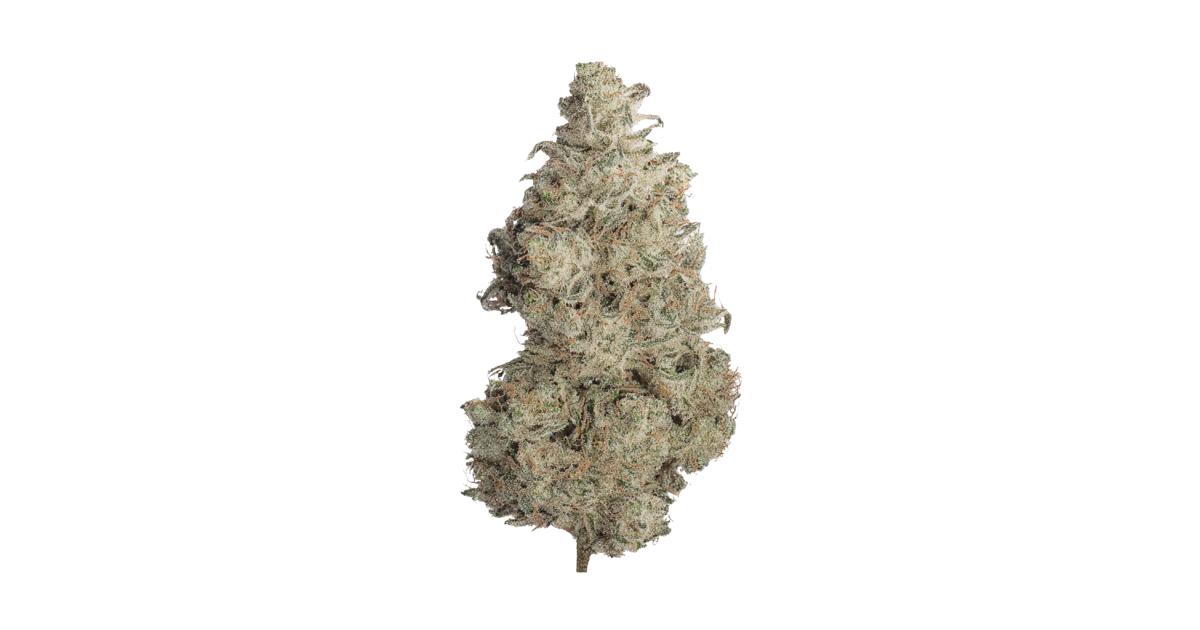 Tropical Juice Box Cannabis Strain Information - GrowDiaries