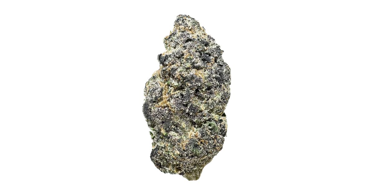 Sherbanger F2 Cannabis Strain Information - GrowDiaries