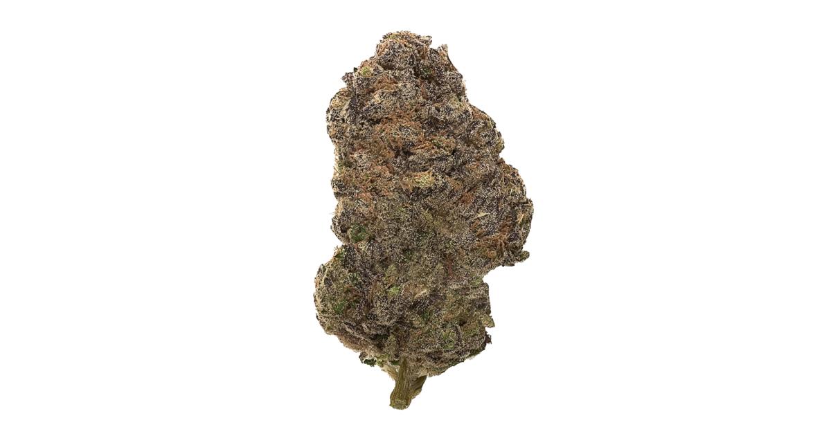 33 Sherbanger Cannabis Strain Information - GrowDiaries