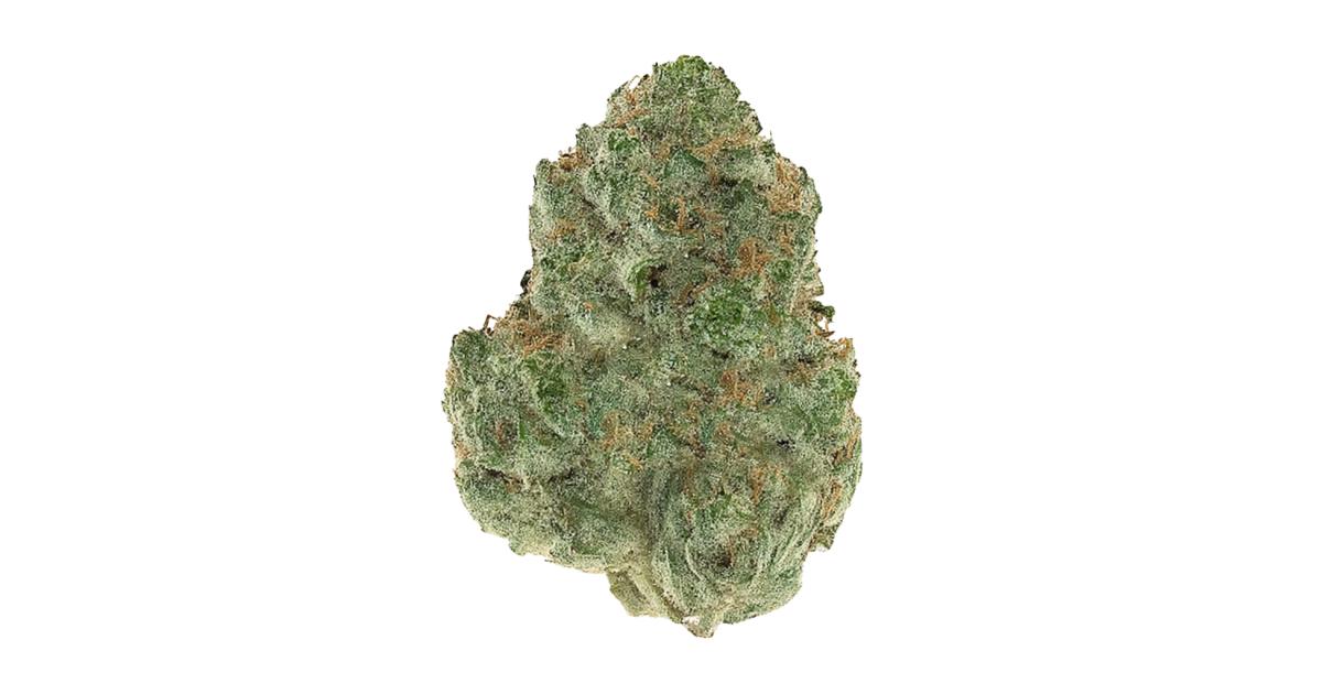 Pamir Gold Cannabis Strain by Dutch Passion Information ...