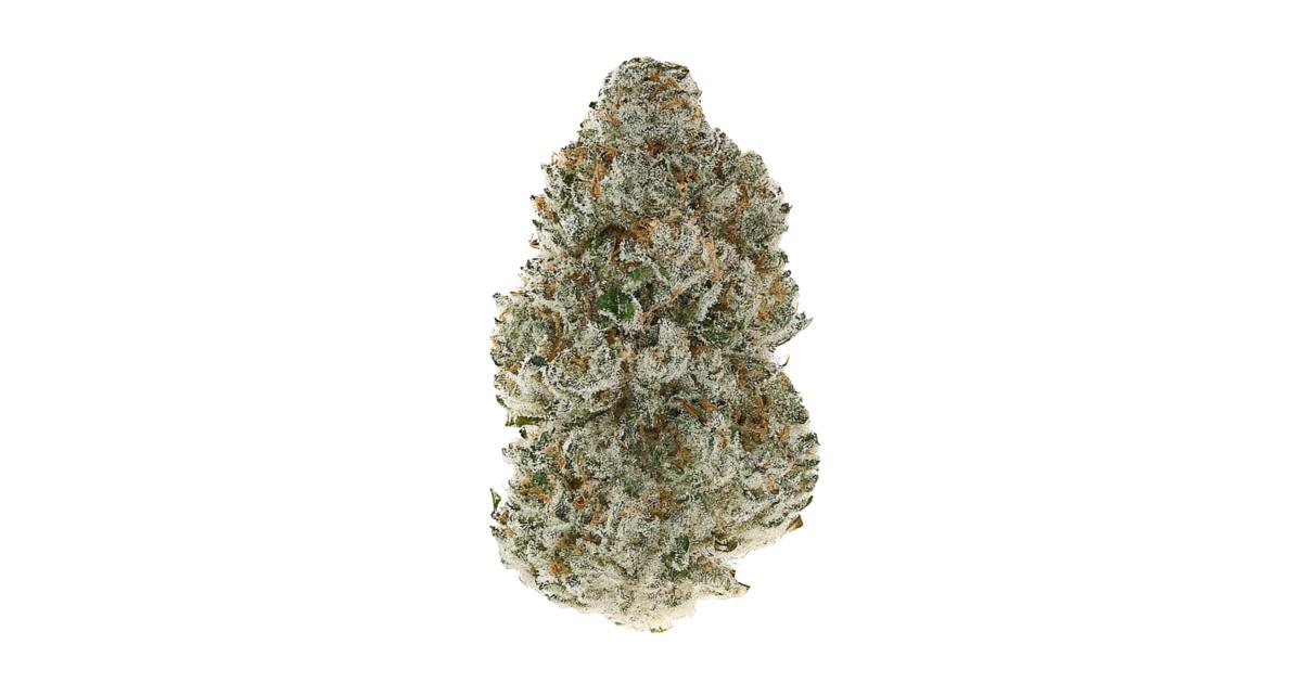 CBD Skunk Haze Cannabis Strain Information - GrowDiaries