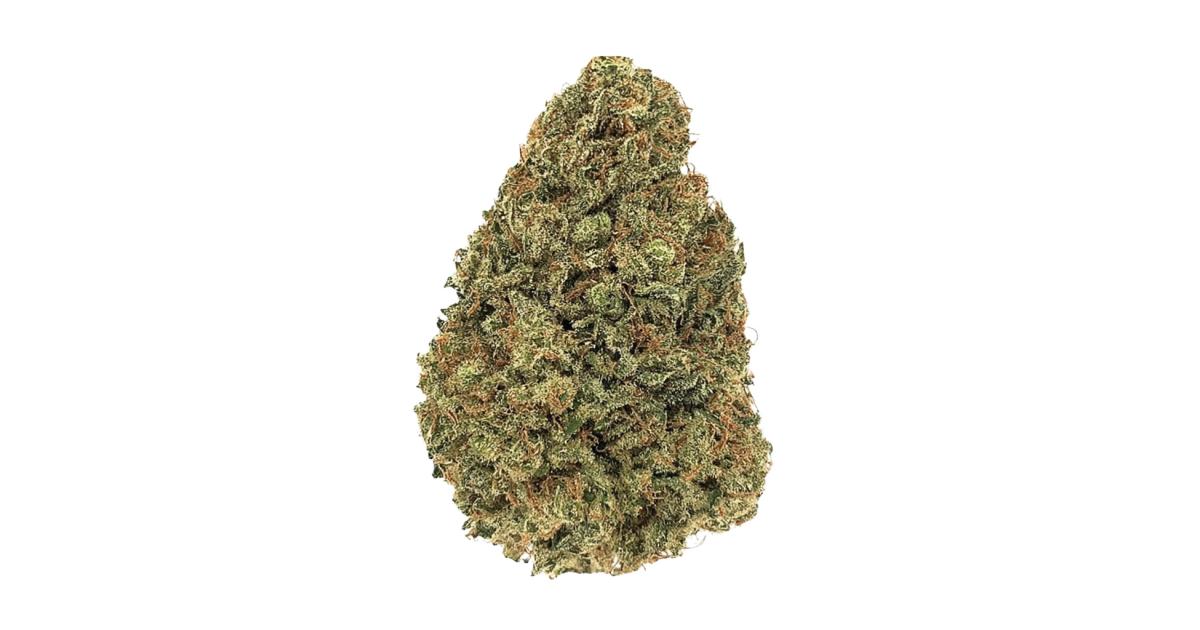 CBD Charlotte's Angel Cannabis Strain Information - GrowD...