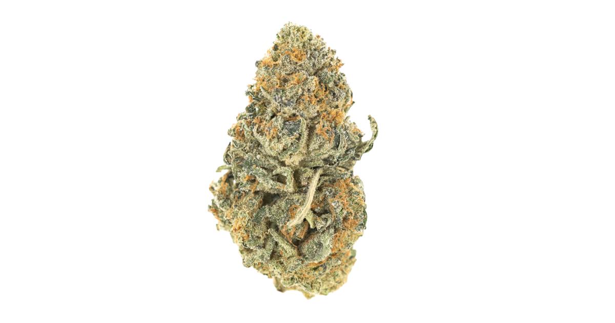 Yellow Melon Cannabis Strain Information - GrowDiaries